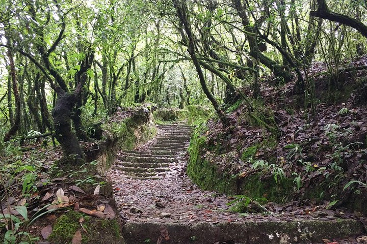Shivapuri Nagi Gumba Hike - Sisne Rover